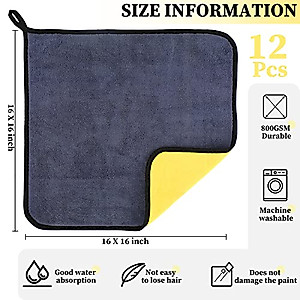 Tallew 12 Pcs Large Thick Microfiber Cleaning Towel Auto Detailing Cloth Car Drying Wash Towels Polishing Waxing Dry for Cars Absorbent Towel, 16 x Inch 800 GSM