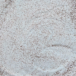 MASTERBLEND 4-18-38 Complete Combo Kit Fertilizer Bulk (2.5 Pound Kit)