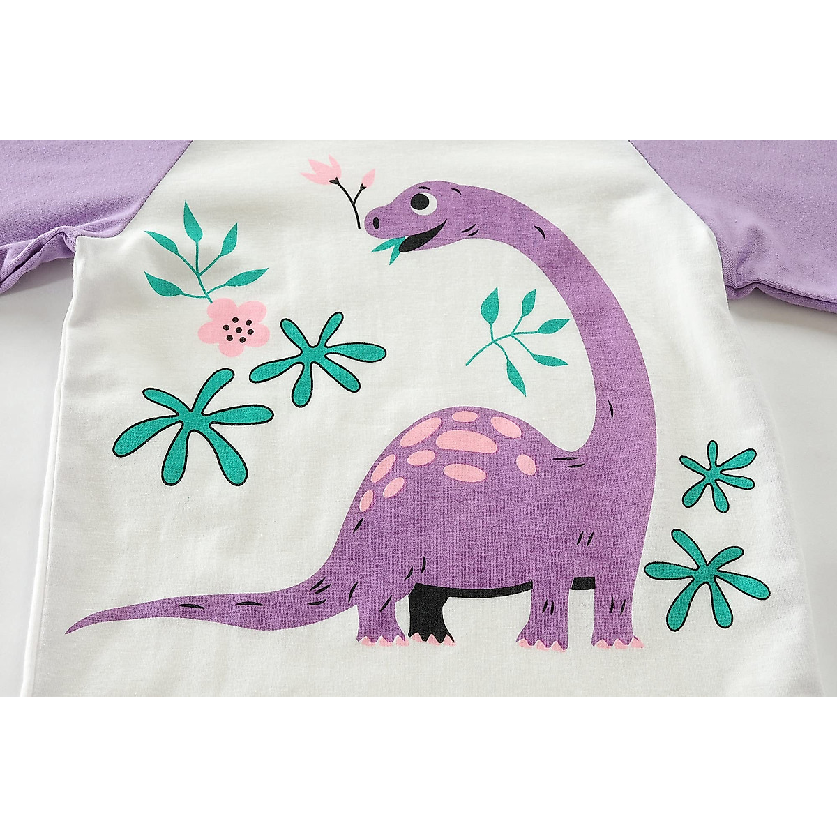 Little Hand Kids & Toddler Girls Dinosaur Pajamas 2 Piece Pjs Set 100% Cotton Long Sleeve Purple Sleepwear 4T