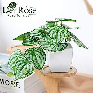 Der Rose 2 Packs Fake Plants Small Artificial Plants for Home Bathroom Office Desk Accessories Living Room Decor Indoor