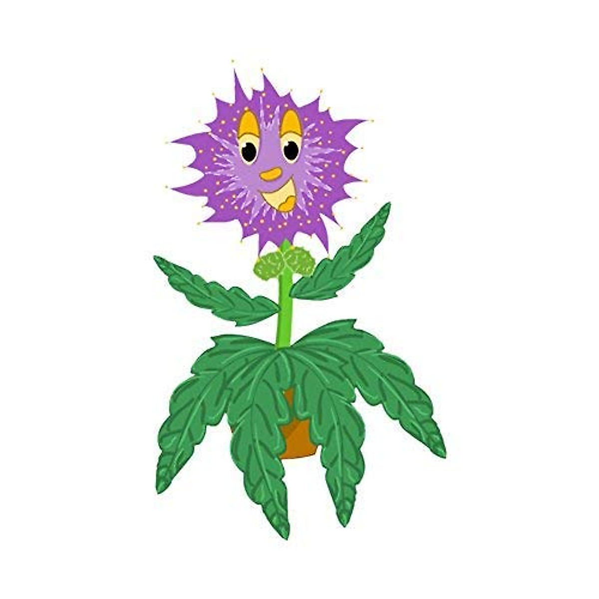 TickleMe Plant Seeds Packets (2) Party Favor! Leaves Fold Together When You Tickle It. Great Science Fun, Easy to Grow Indoors. It Can Flower. Include 10 Activities. Re-Opens in Minutes!