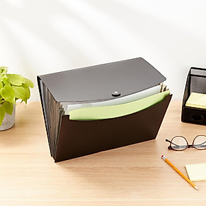 Amazon Basics Expanding Organizer File Folder, Letter Size - Black, 1-Pack