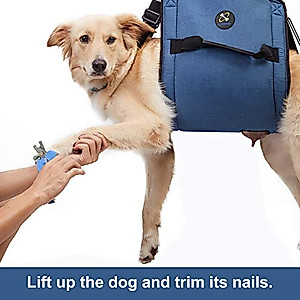 Dog Carry Sling, Emergency Backpack Pet Legs Support & Rehabilitation Dog Lift Harness for Nail Trimming, Dog Carrier for Senior Dogs Joint Injuries, Arthritis, Up and Down Stairs (XL, Blue)
