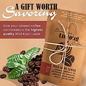 Wild Kopi Luwak, the World’s Most Exclusive Coffee, Sustainably Sourced From Sumatra, Indonesia (100gr / 3.5oz)