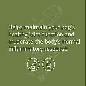 Standard Process Canine Flex Support - Joint & Immune Health Support Supplement for Dogs - Chewable Wafers for Healthy Joint Function Support - Nutritional Whole Food Supplement - 100 wafers