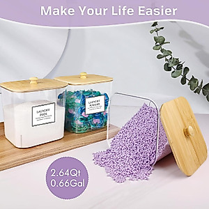 3+1 Pack Laundry Pods Container,Clear Laundry Room Organization Containers,Large Laundry Detergent Powder Storage Containers with Bamboo Lids & Labels,Laundry Pods Holder for Scent Booster,Powder,Pods
