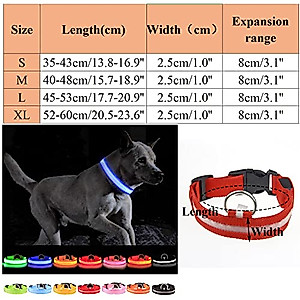 Accessories Dogs Cat Collar Pet LED Printed Collar for Cats Accessory