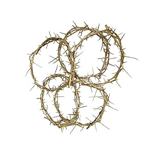 Bethlehem Gifts TM Decorative 7" Authentic Real Fresh Jesus Crown of Thorns from The Holy Land