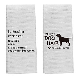 Knibeo Black Lab Kitchen Towels - Labrador Retriever Gifts, Set of 2, 16x24 Inch Lab Tea Towel Kitchen Dish Towel Set, Lab Hand Towels