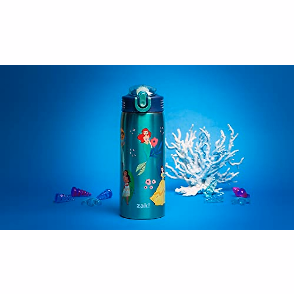 Zak Designs Disney Princess Water Bottle for Travel and At Home, 19 oz Vacuum Insulated Stainless Steel with Locking Spout Cover, Built-In Carrying Loop, Leak-Proof Design (Disney Princess)