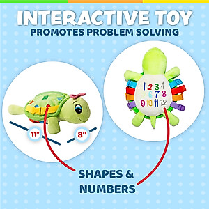 Buckle Toys - Belle Turtle - Learning Activity - Develop Motor Skills and Problem Solving - Counting and Color Recognition - Airplane Travel Essentials Kids