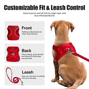 PetiFine Step in Small Dog Harness and Leash Set, Breathable All Weather Air Mesh Reflective Escape Proof, Step-in Vest Harnesses for Puppy(XS, Red)