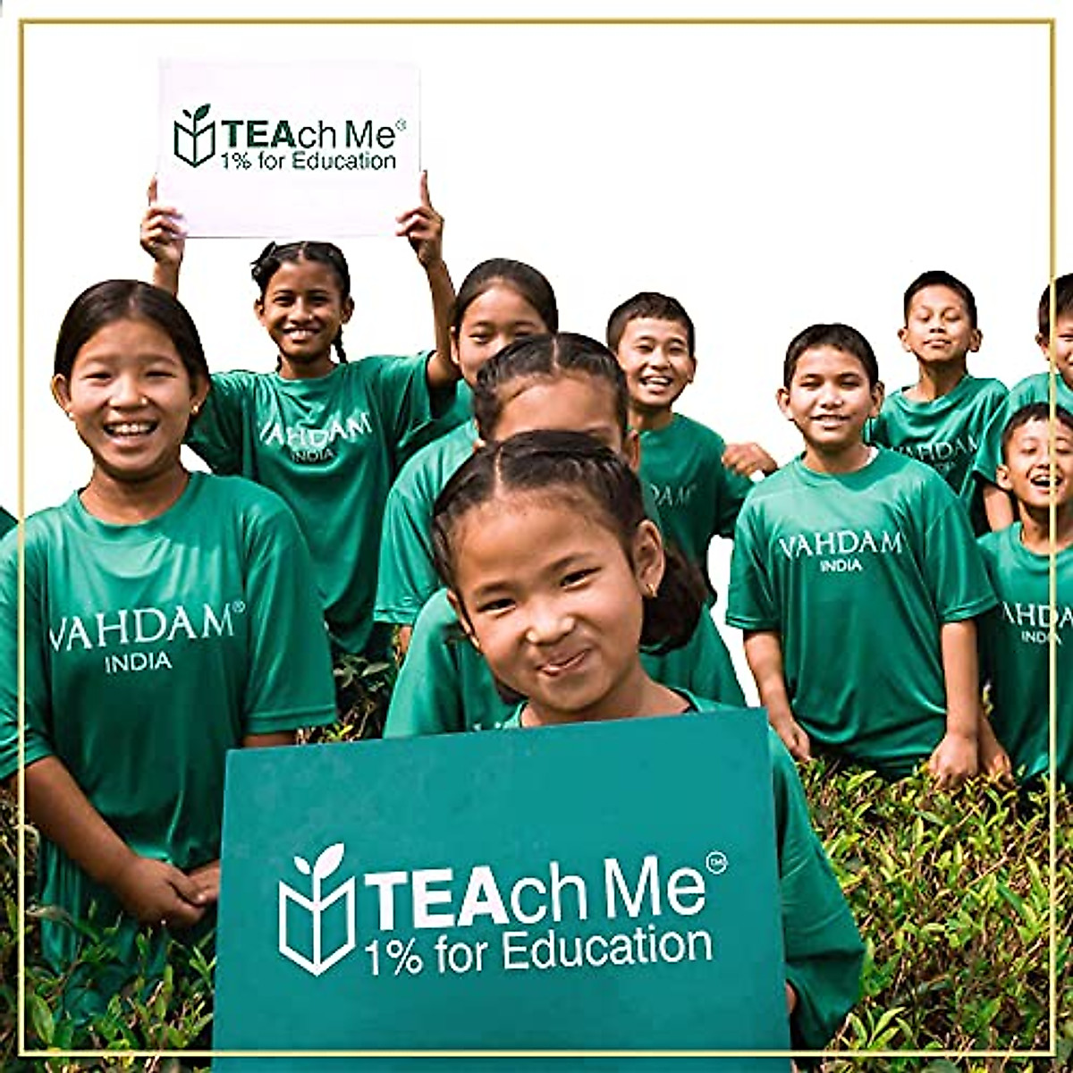 VAHDAM, Sparkle-Glass , 16 oz , Tea Cup with Infuser and Lid , Scratch Resistant, Microwave Safe Tea Steeper, Tea Mug with Lid , tea infuser Mug, Loose Leaf