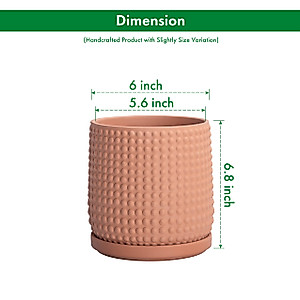 D'vine Dev 6 Inch Terracotta Beaded Planter Pot - Flower Pot with Drainage Hole and Saucer for Indoor Succulent Plants or Flowers, Terracotta, 27-C-X-7