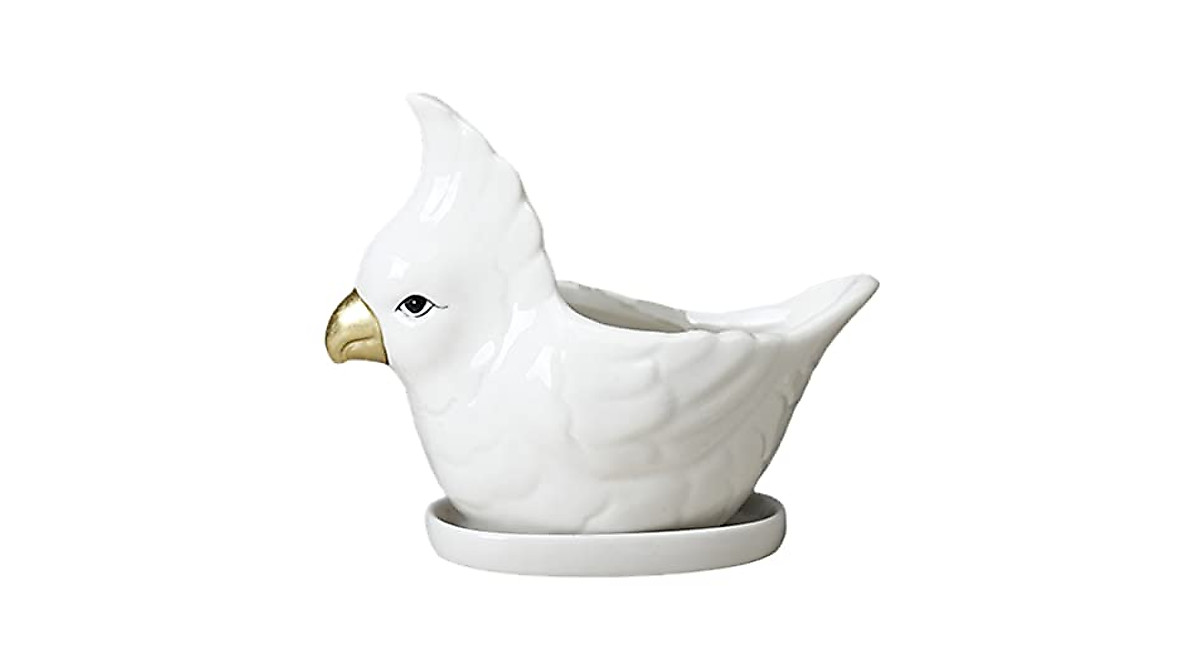 Homoyoyo Parrot Ceramic Planter Pot for Succulents and Bonsai
