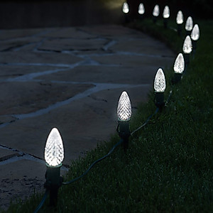 Wintergreen Lighting 25’ OptiCore LED Cool White Pathway Christmas Lights, C9 Outdoor White Christmas Lights, 4.5” Stakes, Green Wire Plug String Lights