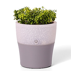 DqBaoKuan Small Humidifiers for Bedroom, Mini Fake Plants Portable Cool Mist Humidifier, USB Desk Personal Humidifiers for Baby Room Travel Bedside Office Home, 2 Mist Modes, 150ML