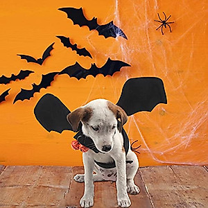 DIYASY Cat Halloween Bat Wing Costume,Halloween Small Pets Black Bat Costume Decoration for Puppy Dog and Cat with Bells
