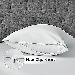 Royale Linens Waterproof Queen Pillow Protector 2 Pack - 20x30 Inches - Pillow Encasement - 100% Microfiber - Zippered Closure - Pillow Case - Smooth & Breathable (Queen, Pack of 2, White)