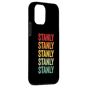iPhone 12 mini Stanly County, North Carolina, Rainbow Text Design Case