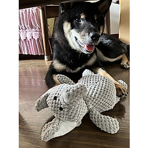 CIXOXIZ Squeaky Dog Toys,Durable Stuffed Pet Toys,Stuffed Pet Toy,Plush Corduroy Dog Toy,Elephant Squeaky Plush Dog Toy, Durable Plush Dog Toy,Chew Guard Toy,Dog Chew Toys,Cotton Rope Dog Toy