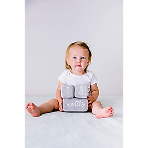 Pearhead Baby Plush Photo Sharing Milestone Age Blocks, Picture Prop, Set of 3 Blocks, Gray