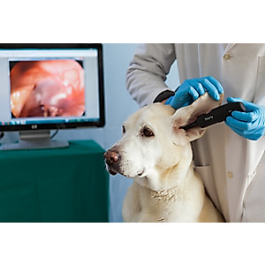 Firefly DE551 Wireless Veterinary Digital Video Otoscope
