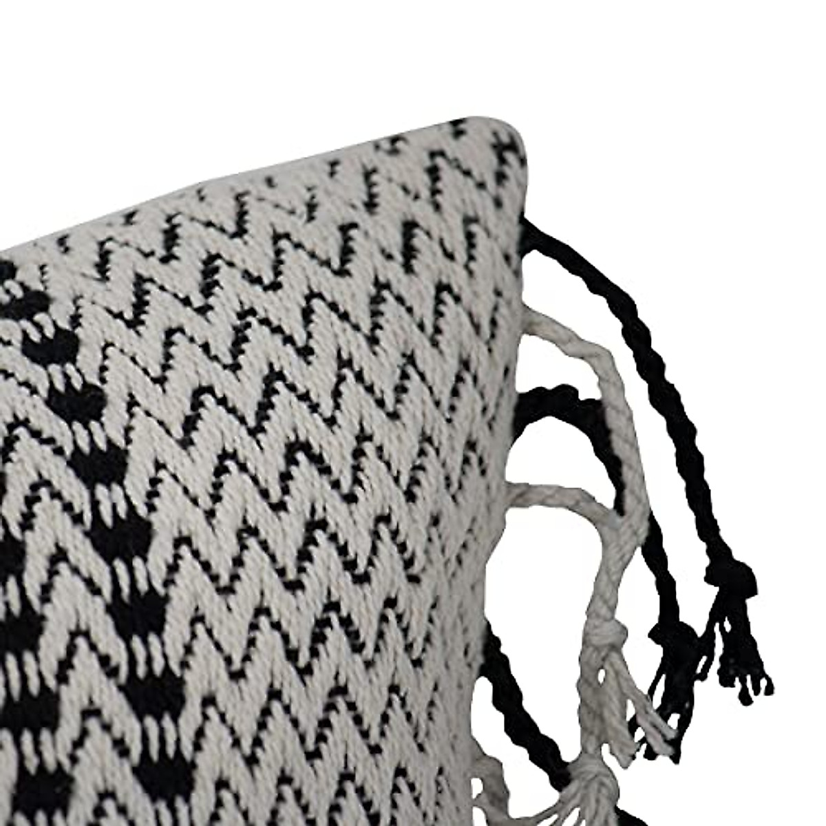 Foreside Home & Garden Black Striped Woven 18x18 Cotton Decorative Throw Pillow with Hand Tied Fringe, 18 x 18 x 5