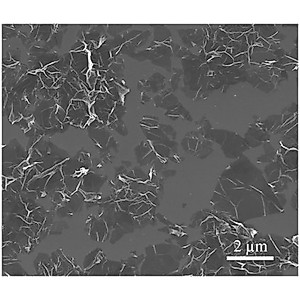 Reduced Graphene Oxide Powder (1 gram) - Material for Science, Research, Product Development. Sold to Multi National Corporation, Universities, Defense Industry and More.