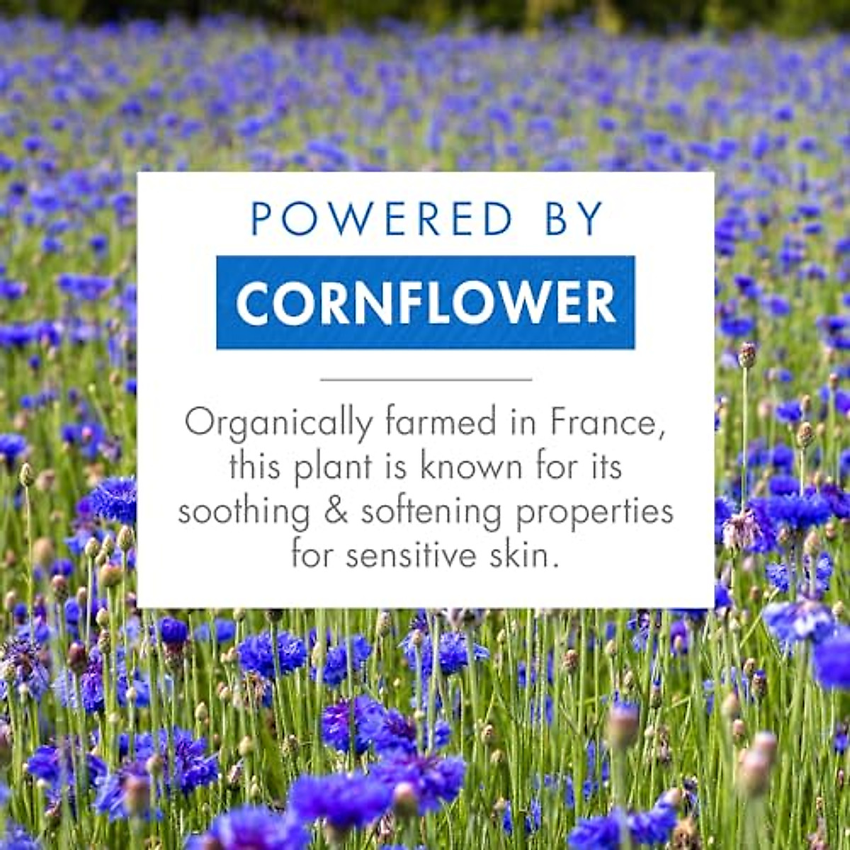 Klorane - Waterproof Eye Makeup Remover With Organically Farmed Cornflower - Sensitive Skin Approved -Fragrance Free & Paraben-Free - Vegan - 3.4 fl. oz.