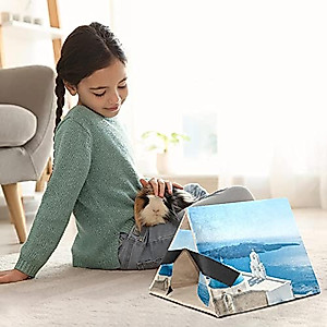 RATGDN Small Pet Hideout Greek Santorini Hamster House Guinea Pig Playhouse for Dwarf Rabbits Hedgehogs Chinchillas
