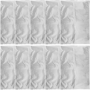 20 Liter Mylar Bag - 10 Pack