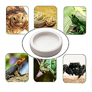 Tfwadmx 2 Pack Reptile Food Bowl, Mini Ceramic Water Feeder Bowl, Reptile Worm Feeding Dish for Lizard Turtle Bearded Dragon Anoles Crested Gecko Hermit Crab Leopard Gecko Chameleon Corn Snake