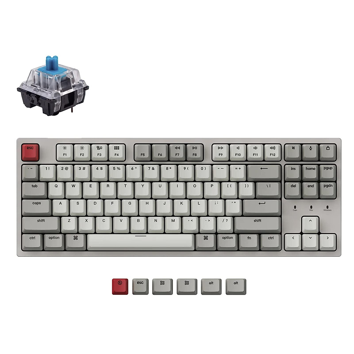 Keychron C1 Hot-swappable Wired Mechanical Keyboard for Mac Layout, Keychron Mechanical Blue Switch/USB Type-C Cable/Double-Shot ABS Keycaps Tenkeyless 87 Keys Computer Keyboard for Windows PC