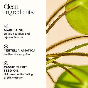 Evereden Golden Belly Serum, 1.7 fl oz. | Belly Oil for Pregnancy | Clean Women's Body care for Pregnancy and Postpartum | Natural and Plant Based Maternity Skincare | Non-Toxic Stretch Mark Oil