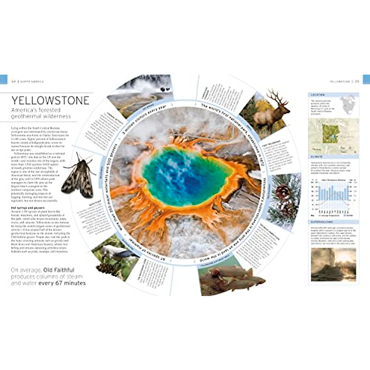 Wildlife of the World