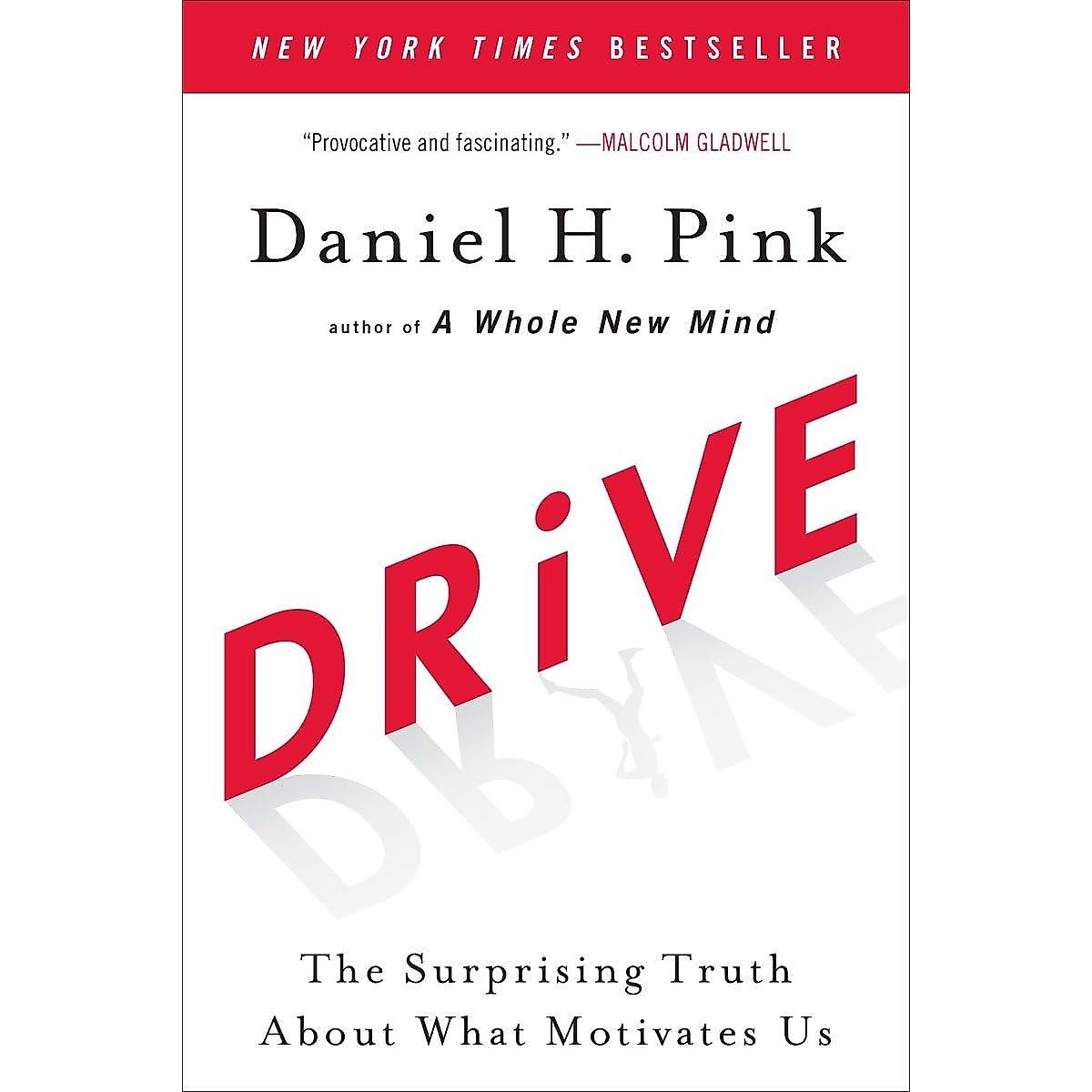 Drive: The Surprising Truth About What Motivates Us