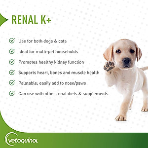 Vetoquinol Renal K+ (Potassium Gluconate) Potassium Supplement Gel for Dogs and Cats, 5oz