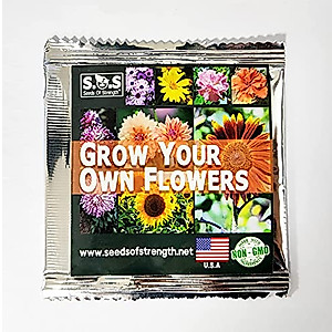 200 Pcs Mixed Marigold Seeds Flower Plant Bonsai Garden Decoration