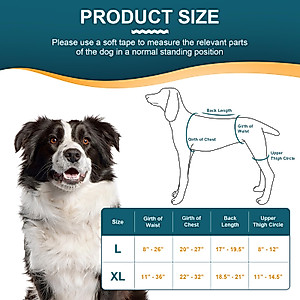 Dollephi Dog Knee Brace for torn acl hind leg with Adjustable Hinge Stabilizer, Dog leg brace Support for Cruciate Ligament Injury, Dog back brace for Osteoarthritis, Recovery After Surgery,et（L）