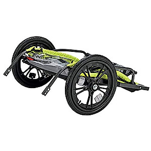 Allen Sports Hi-Viz 2-Child Bicycle Trailer, Model ET2-G, Green