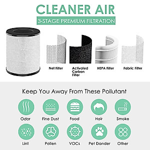 HSIAMEN Replacement Filter Compatible with Tenergy Renair TAP01, Cool-Living CL-6070A, Beaba, Tredy TD-1300, 3-in-1 H13 True HEPA Filters, White 2-Pack