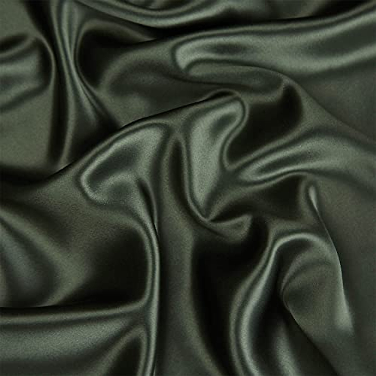 DISANGNI 100% Mulberry Silk Silk Pillowcase, Used for Hair and Skin, Envelope Type, Silk on one Side and Tencel on The Other Side, Count 600, 1pc (Green, Queen(50x75cm))