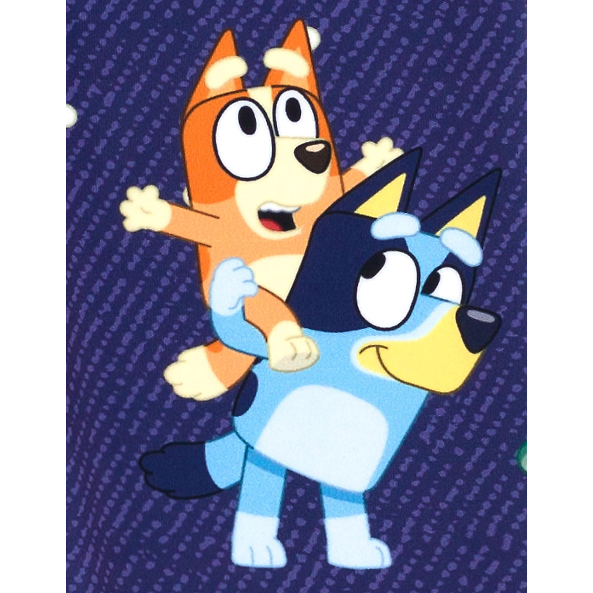 Bluey Bingo Toddler Girls T-Shirt and Leggings Outfit Set Green/Blue 4T