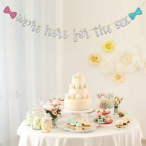 WeBenison Silver Glitter We're Here for The Sex Banner for Baby Shower Party Decor Boy or Girl Gender Reveal Party Supplies