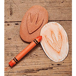 Yellow Door Let's Investigate Dinosaur Footprints