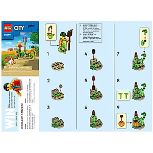 LEGO City Farm Combo Pack: Farm Garden and Scarecrow Polybag (30590) and Brown Chicken