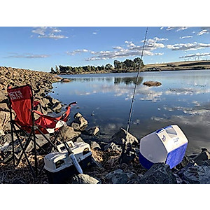 MLTOOLS | Hori-Hori Weeding & Digging Knife for Metal Detector | HD 12.5 inch | Ideal as Harvesting, Pruning, Japanese Gardening Knife, Camping, Hiking, Fishers, Utility, Hunting Knife | P8246