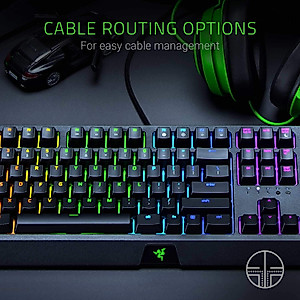 Razer BlackWidow Mechanical Gaming Keyboard: Green Mechanical Switches, Tactile & Clicky, Chroma RGB Lighting, Anti-Ghosting, Programmable Macro Functionality