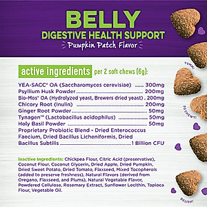 Wellness Pumpkin Patch Flavored Soft Chew Digestive Health Supplements for Dogs, 90 Count